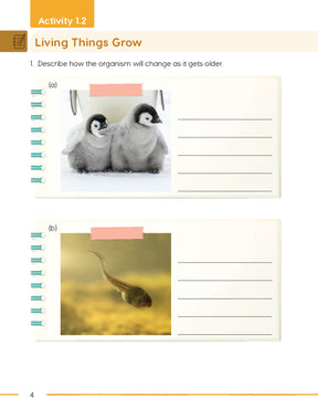 Next Generation Science Activity Book – Grade 3, Book A – Blue Ring ...