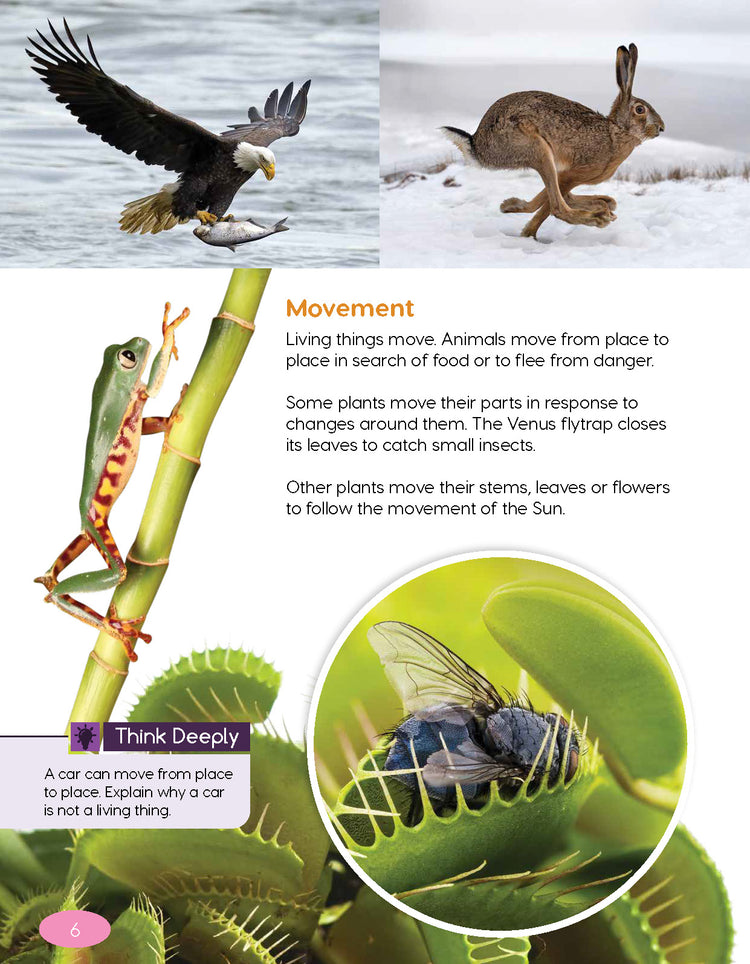 Next Generation Science Textbook – Grade 3, Book A – Blue Ring Education