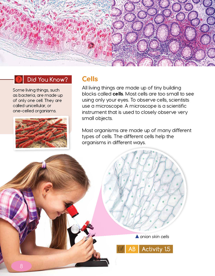 Next Generation Science Textbook – Grade 3, Book A – Blue Ring Education