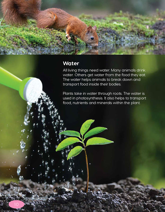 Next Generation Science Textbook – Grade 3, Book A – Blue Ring Education