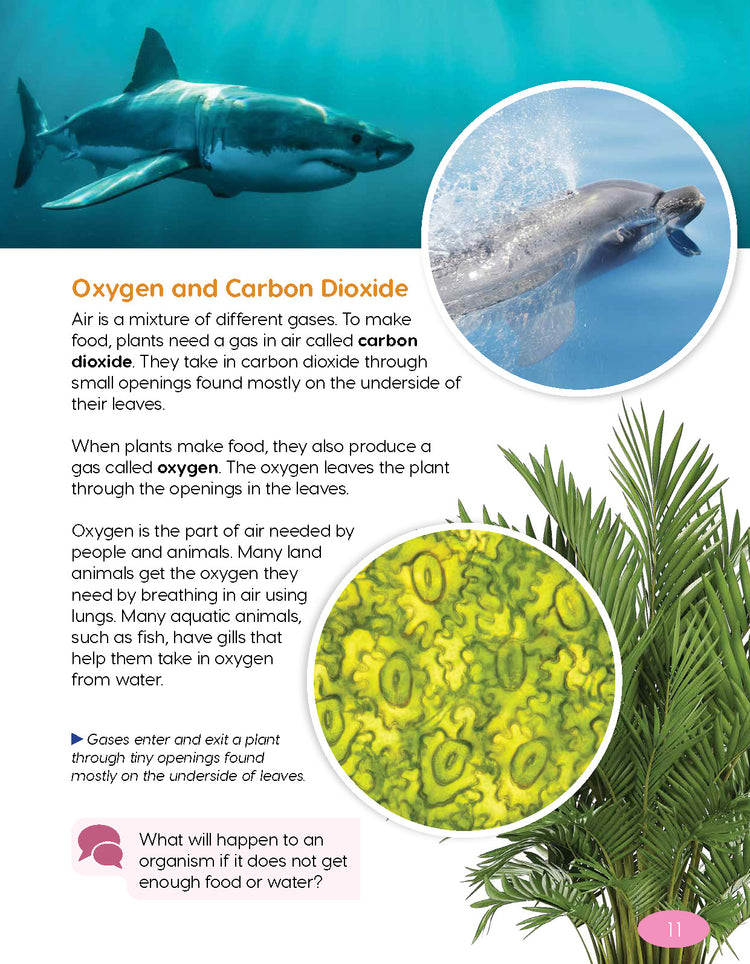 Next Generation Science Textbook – Grade 3, Book A – Blue Ring Education