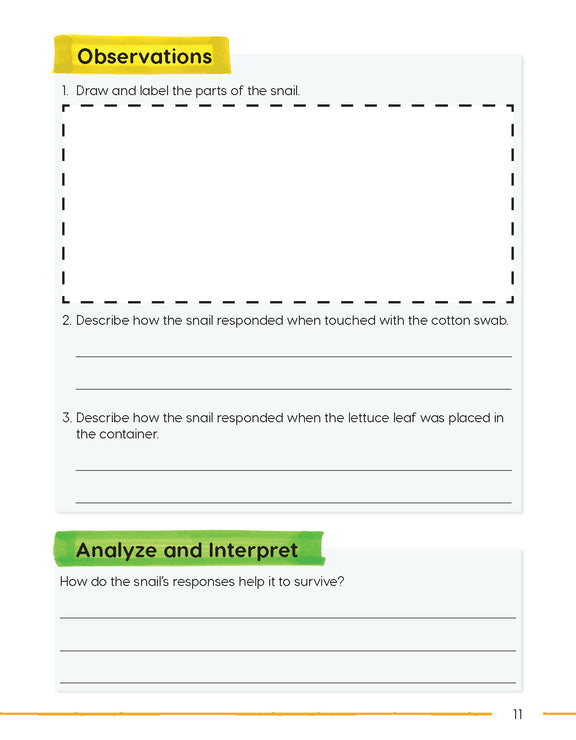 Next Generation Science Activity Book – Grade 3, Book A – Blue Ring ...