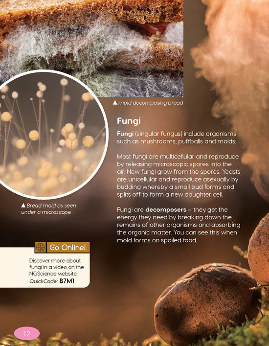 Next Generation Science Textbook – Grade 6, Book A – Blue Ring Education