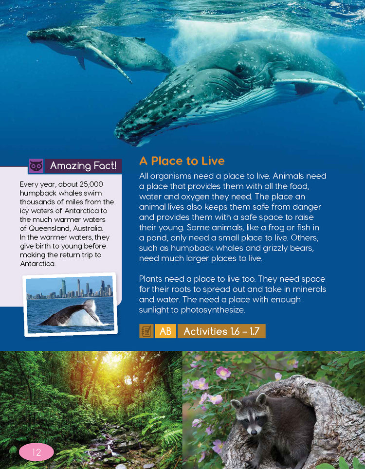 Next Generation Science Textbook – Grade 3, Book A – Blue Ring Education