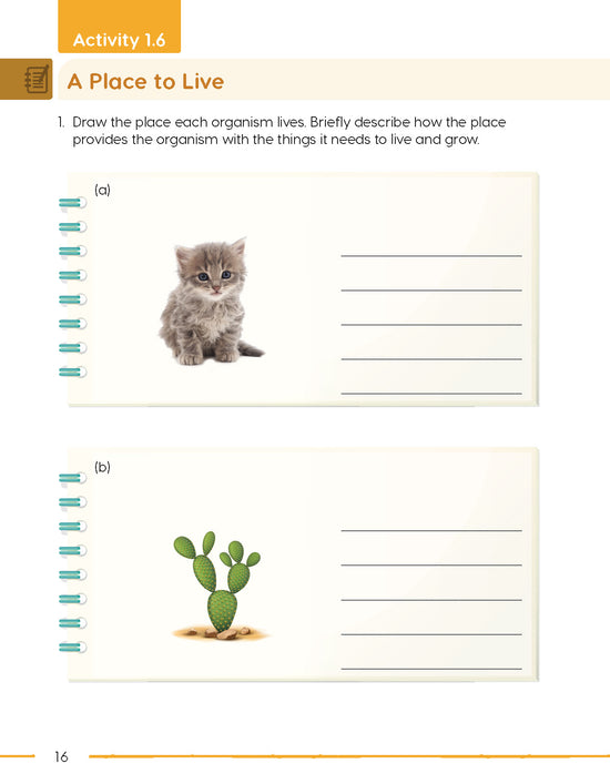 Next Generation Science Activity Book – Grade 3, Book A – Blue Ring ...