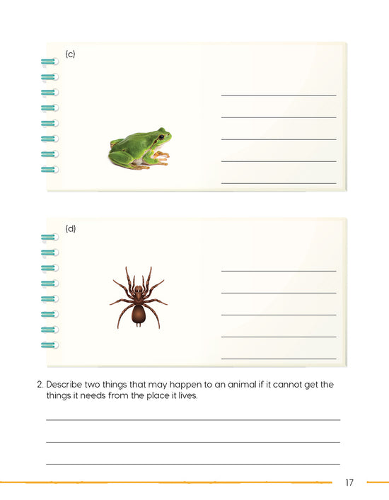 Next Generation Science Activity Book – Grade 3, Book A – Blue Ring ...